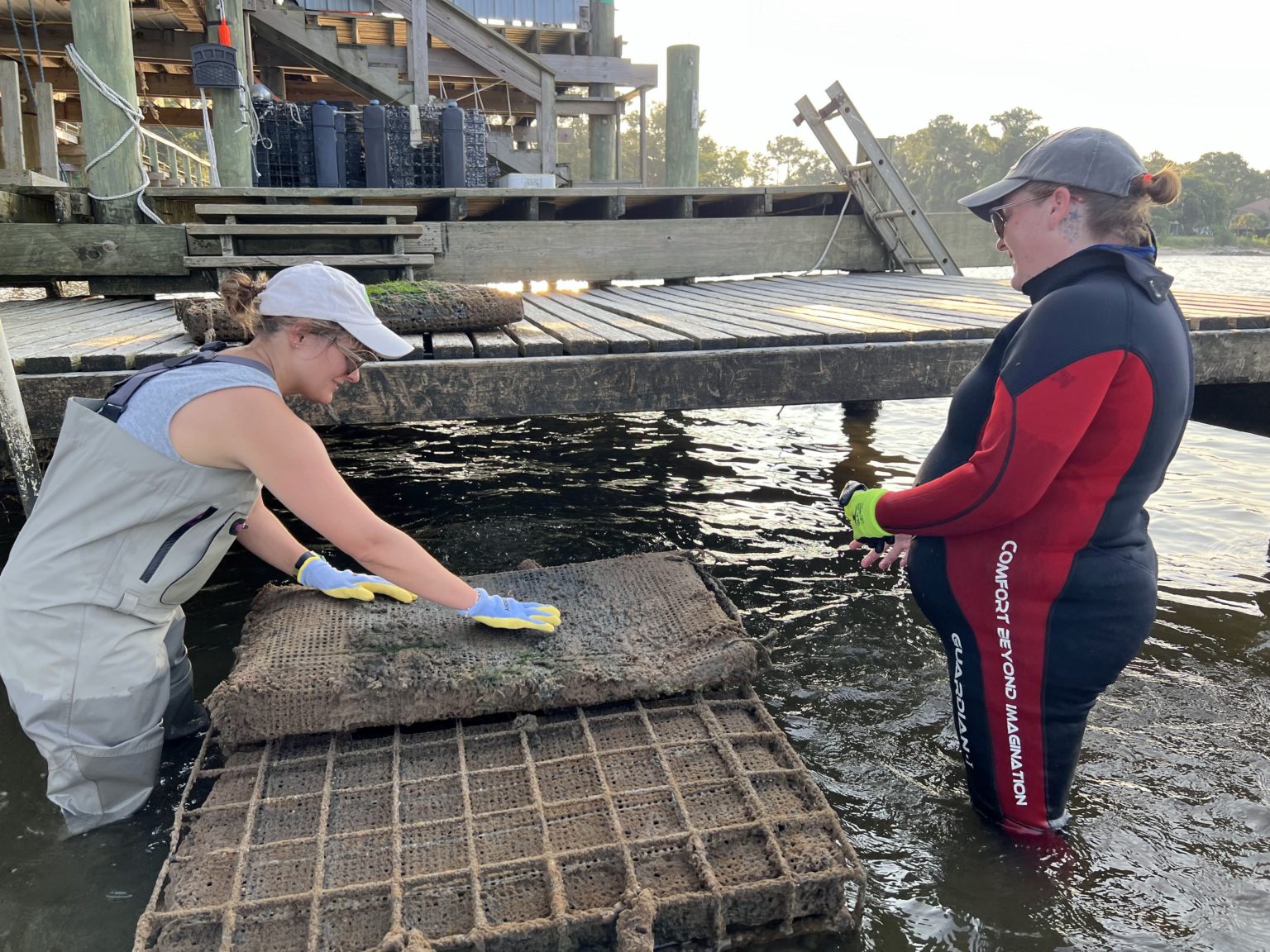 The Oyster Gospel: A Q&A with Bama Bay Oyster Farm’s Jackie Wilson ...