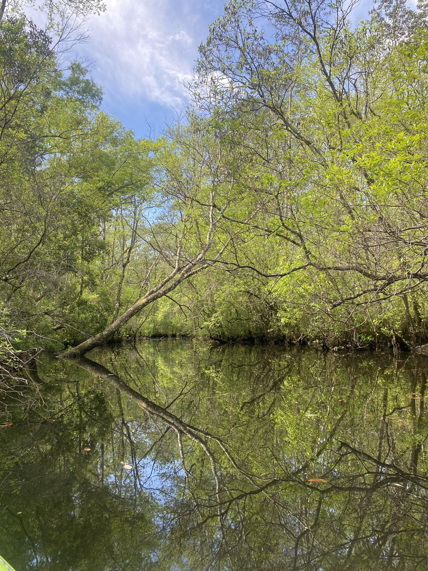 Save Rabbit Creek - Mobile Baykeeper
