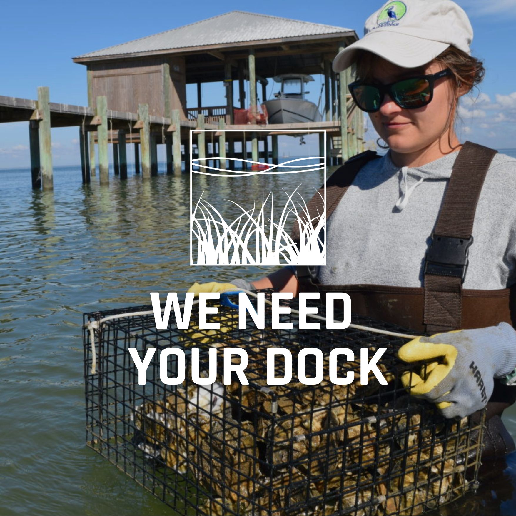 Turn Your Dock Into An Oyster Garden - Mobile Baykeeper