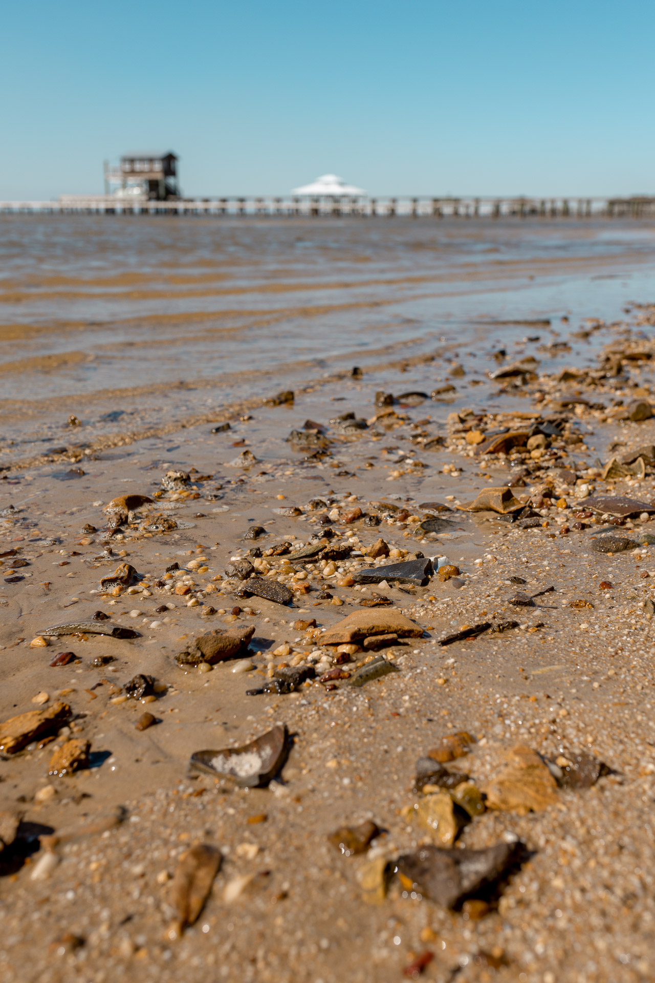 The Clay in Our Veins - Mobile Baykeeper