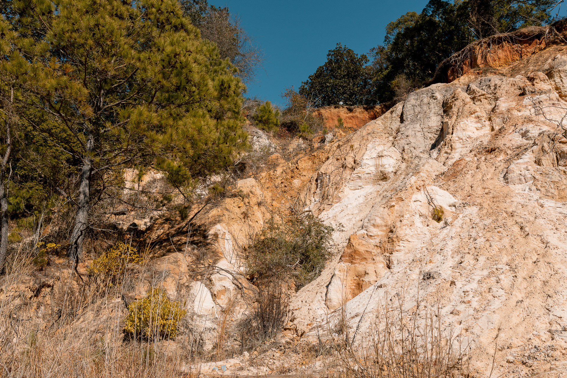 The Clay in Our Veins - Mobile Baykeeper