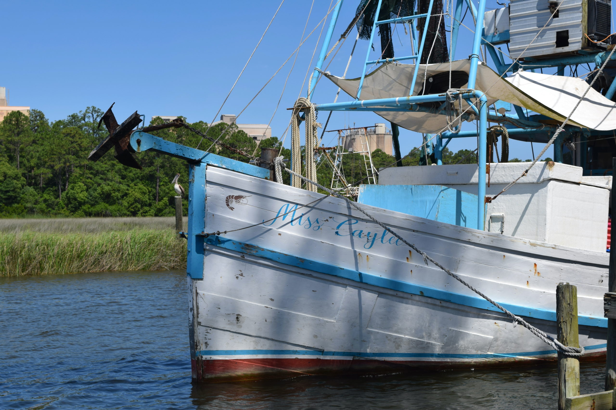 The Oldest Shrimp Boat in the Bay: A Visit with David Bryan and the ...