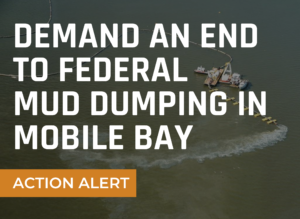 Mobile Baykeeper - Defending the waters of Coastal Alabama