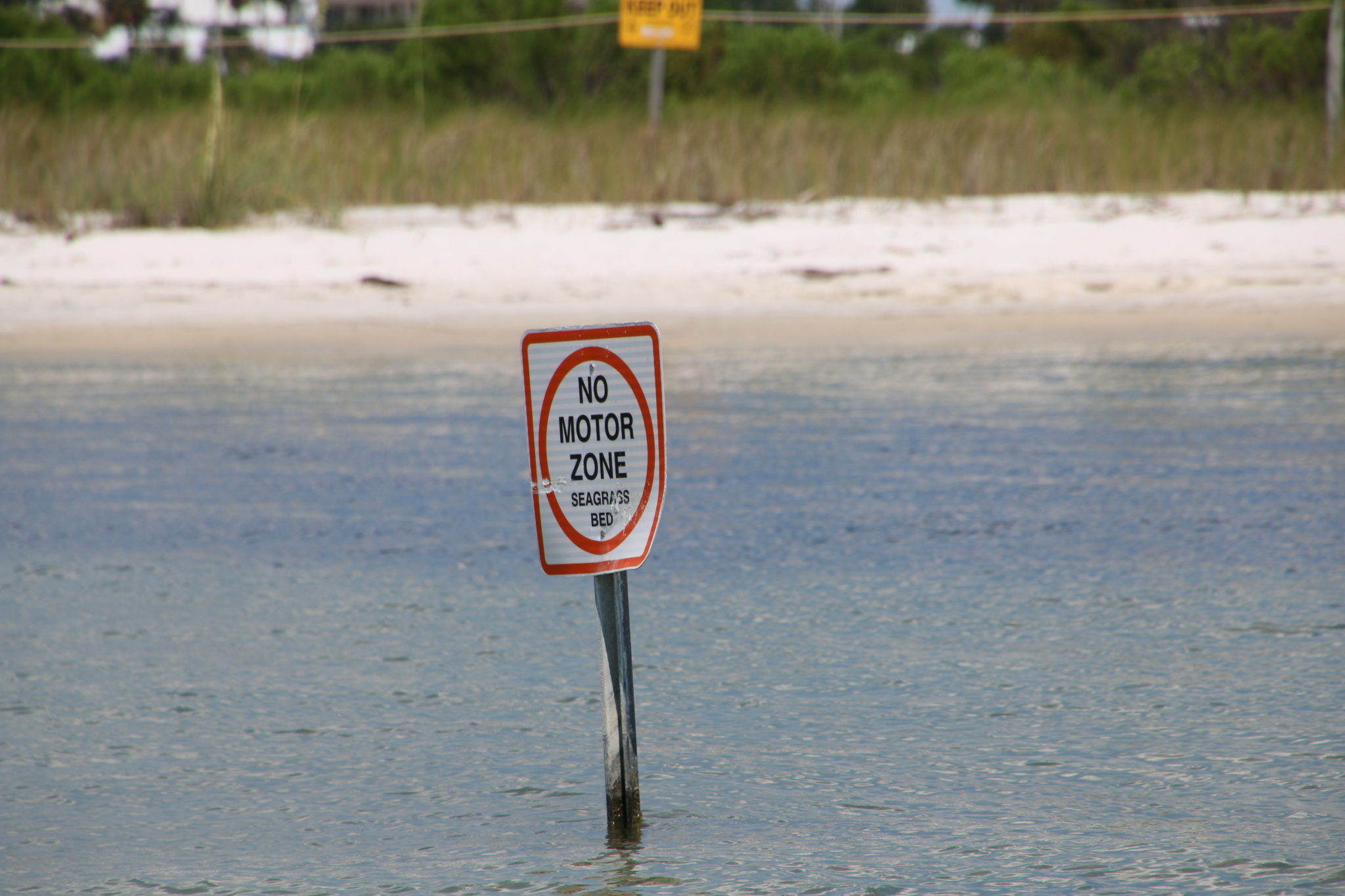 Perdido Blues - Mobile Baykeeper